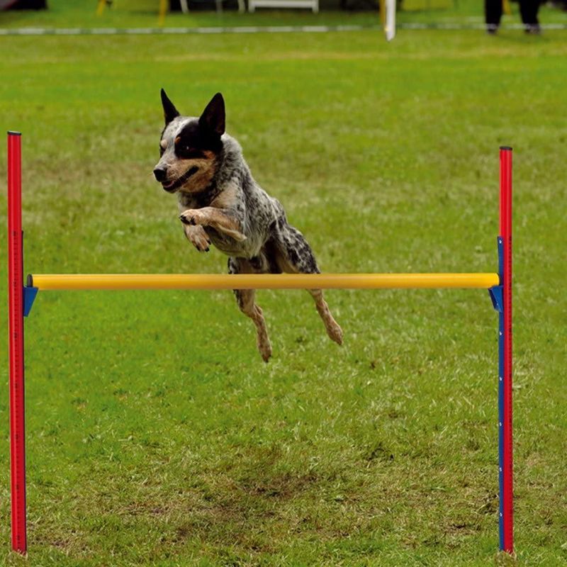 Agility Jump