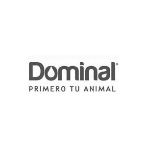 Pipeta Dominal Max - Perros más de 40 Kg