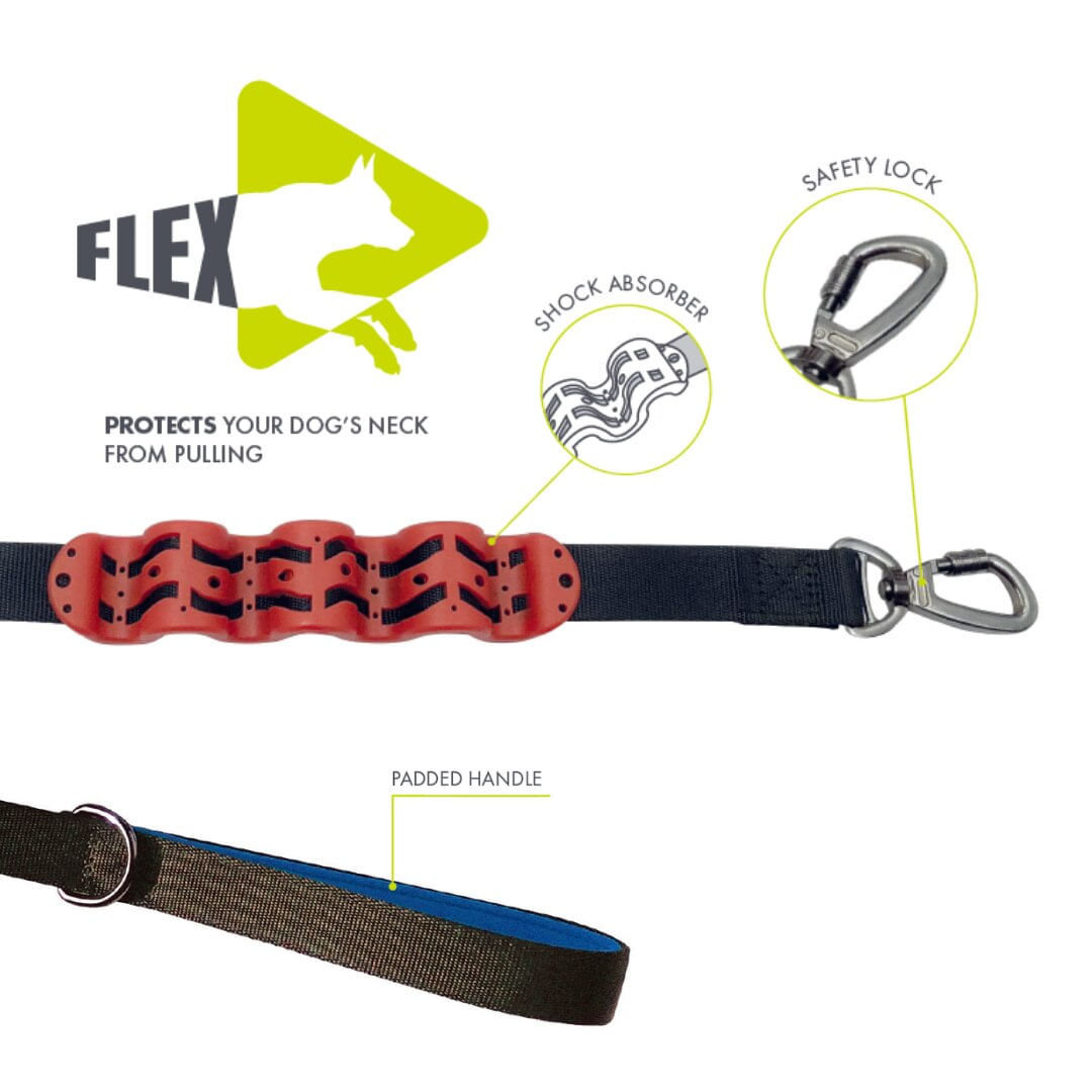 CORREA M-PETS - FLEX SHOCK ABSORBER - ROJA