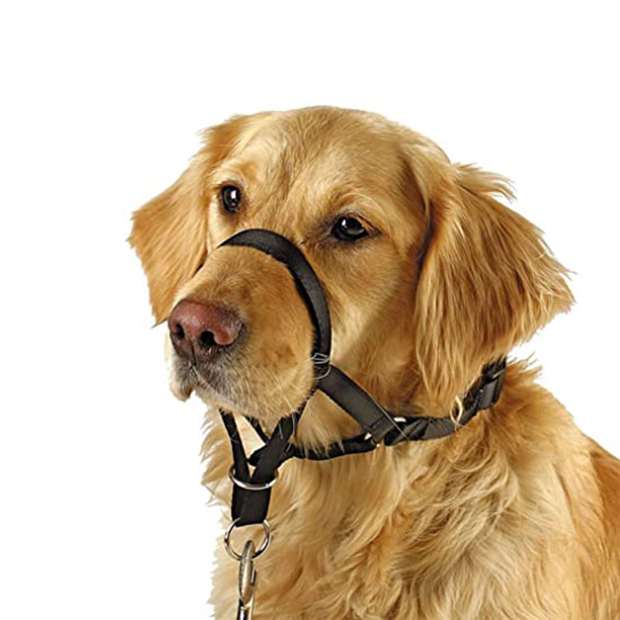 Dogal Pawise - Dog Control