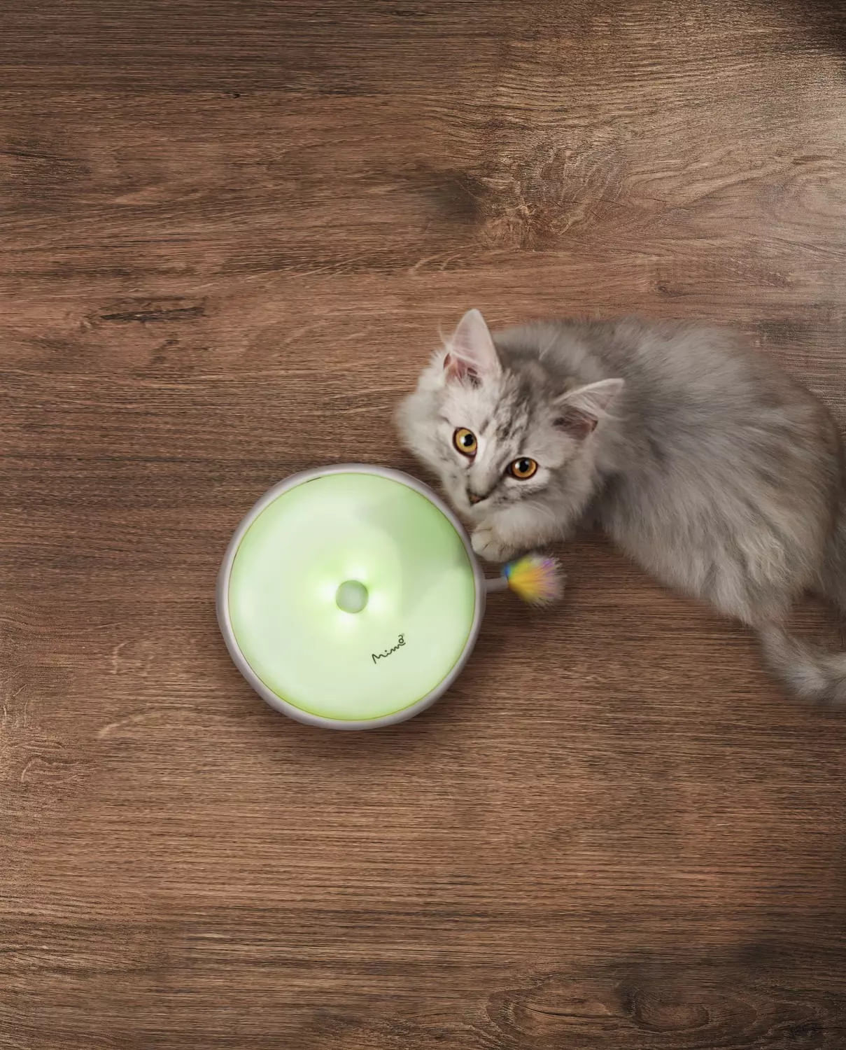 Juguete Interactivo Gato Crazy Donut